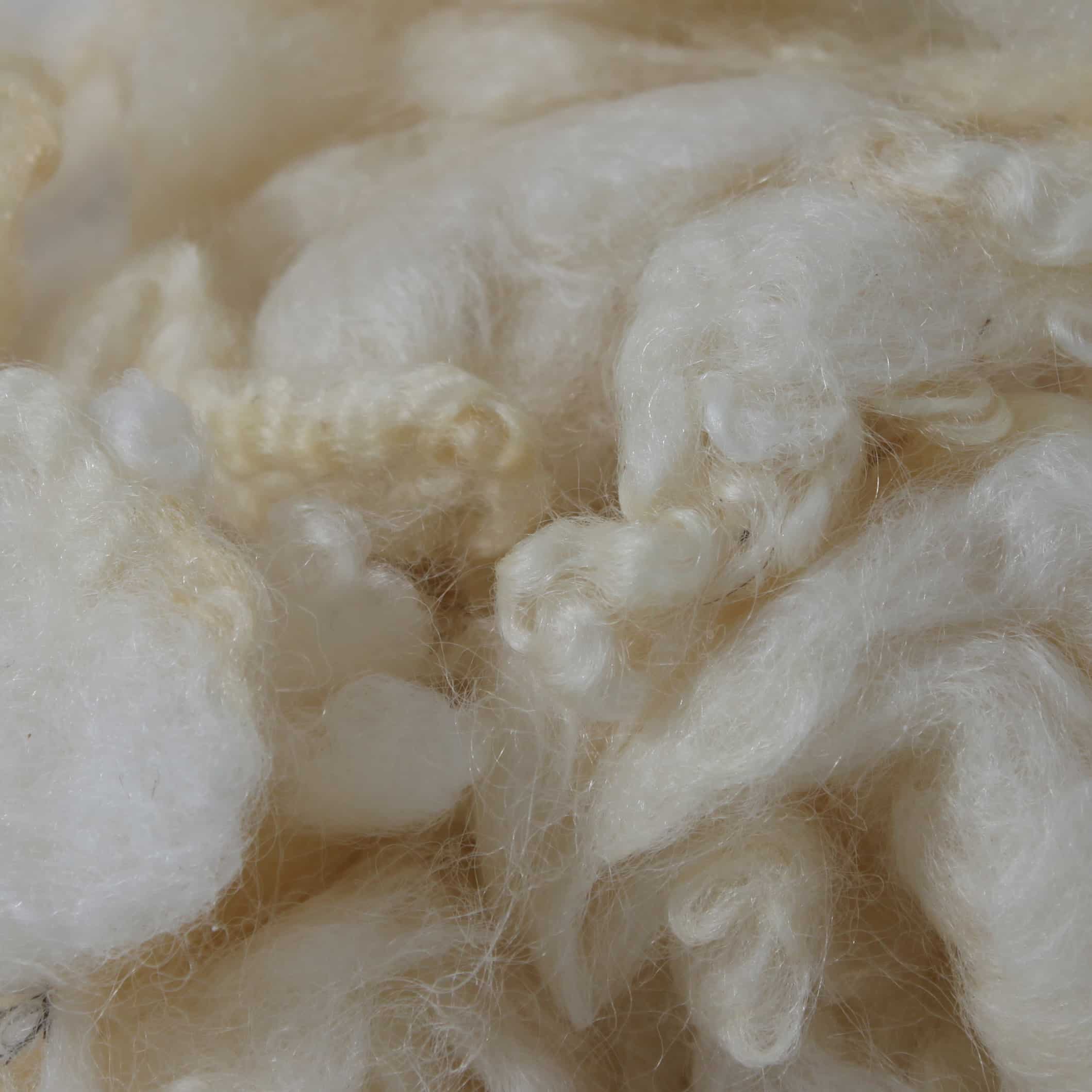 Custom Canadian Wool | Carded Wool | Custom Woolen Mills